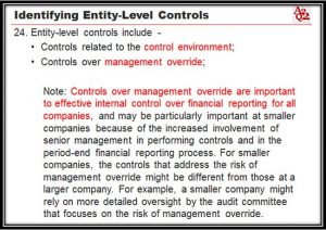 Part 5 | Entity Level Controls | Demystifying SOX 404