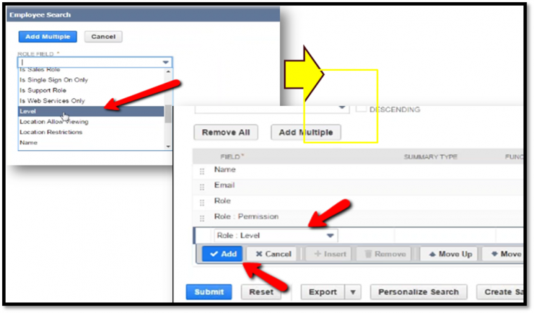 User Permission Report | NetSuite Segregation of Duties