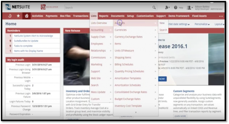 NetSuite Create Amortization Journal Entry