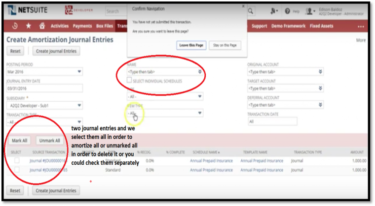 NetSuite Create Amortization Journal Entry