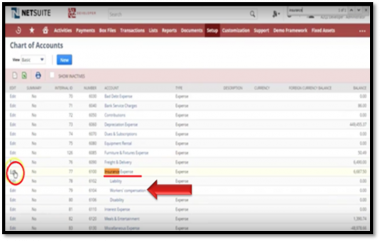 NetSuite Create Amortization Journal Entry