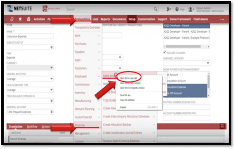 NetSuite Create Amortization Journal Entry