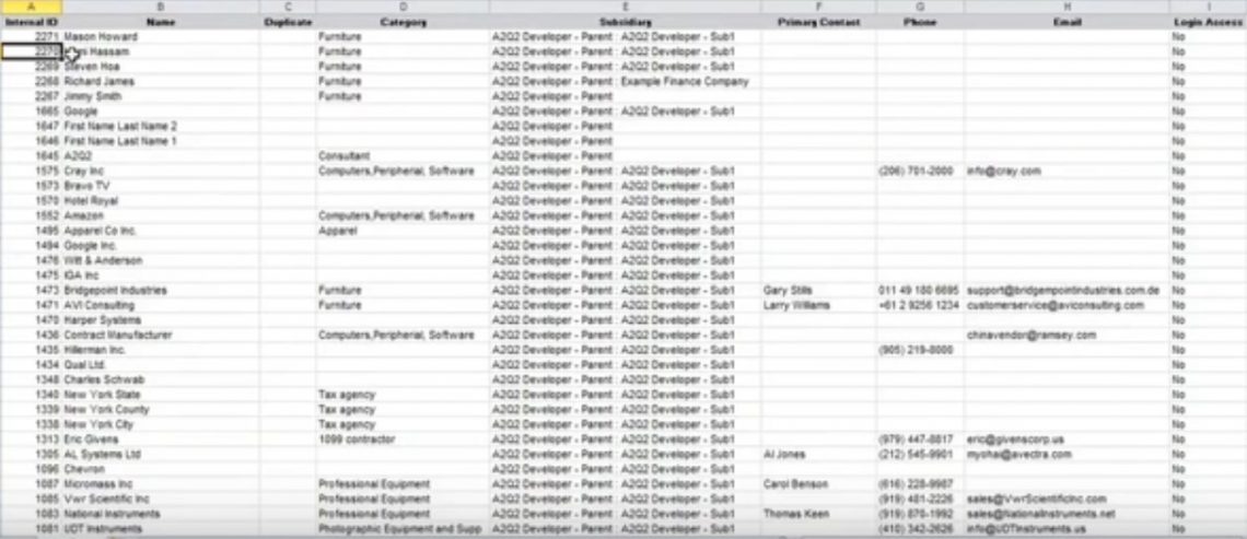 NetSuite Data Validation Process