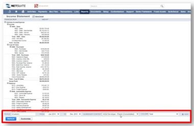 NetSuite Income Statement Reports | NetSuite User Tips