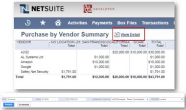 Purchase by Vendor Report | NetSuite User Tips
