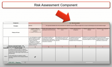 COSO 2013 | Mapping Template