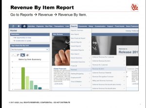NetSuite Revenue by Item Report
