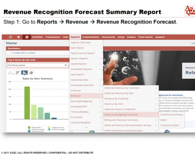 Netsuite Archives - A2Q2